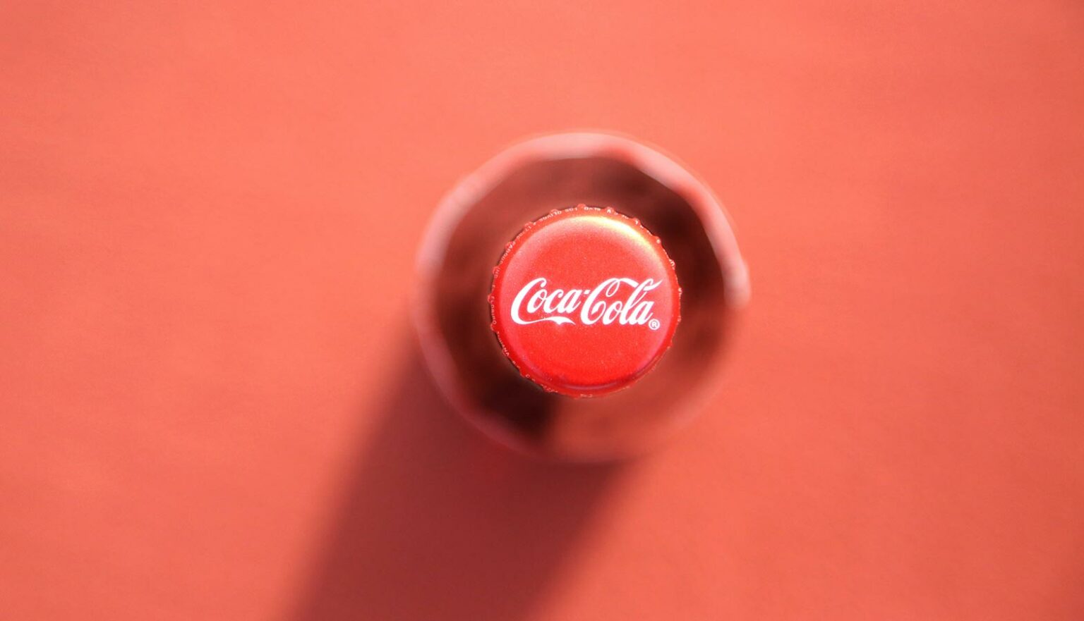 Building a Brand in 11 Easy Steps